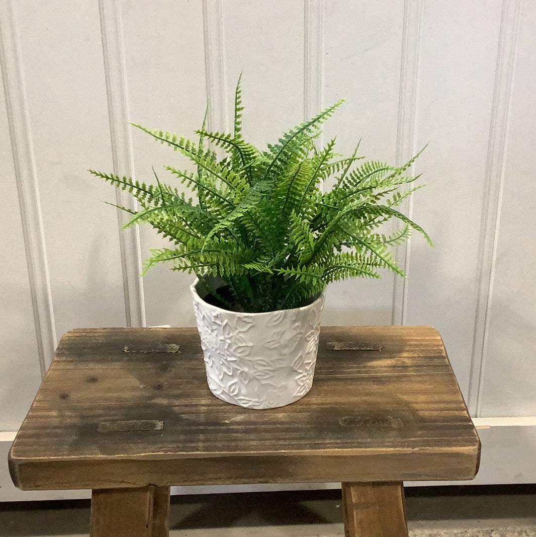 Potted Plants – Close to Home Decor